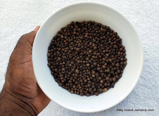 The Pimento Tree /Allspice Plant Explored |The Secret Taste Of Jamaica